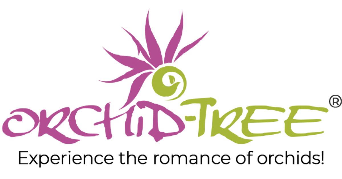 Australian Dendrobium speciosum species: Culture Sheet Care Guide ...