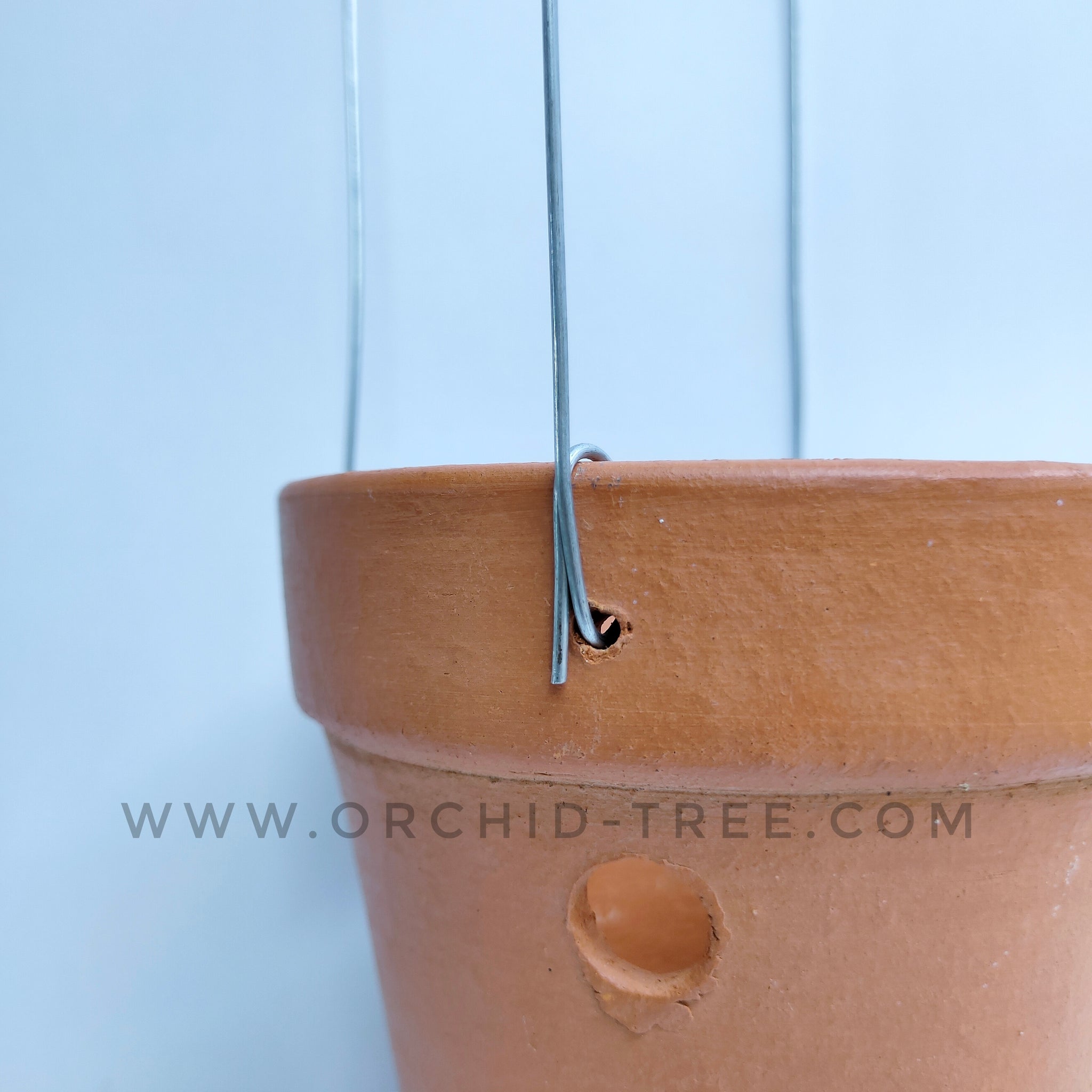 Plant Hangers GI – Orchid-Tree