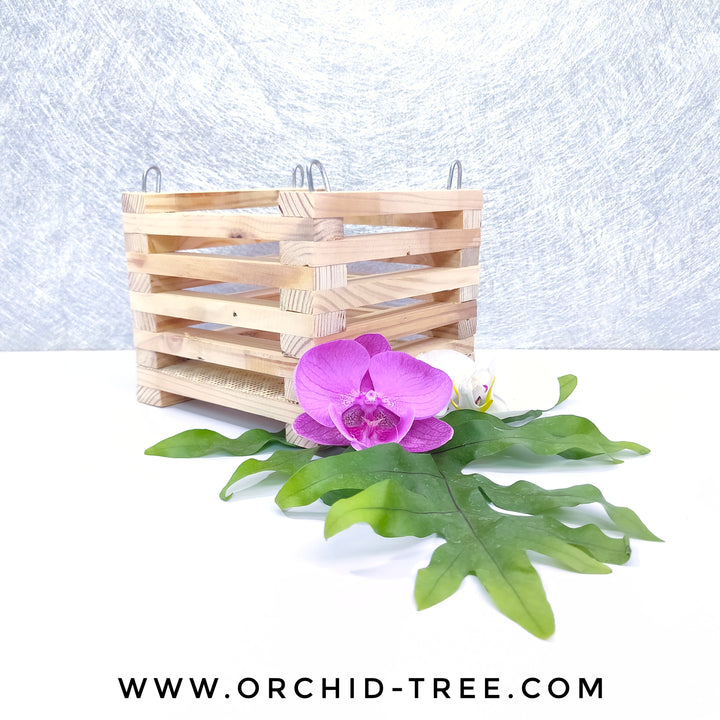 Orchid Accessories – Orchid-Tree
